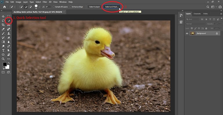 How To Apply Feather Effect In Photoshop | Webtopic